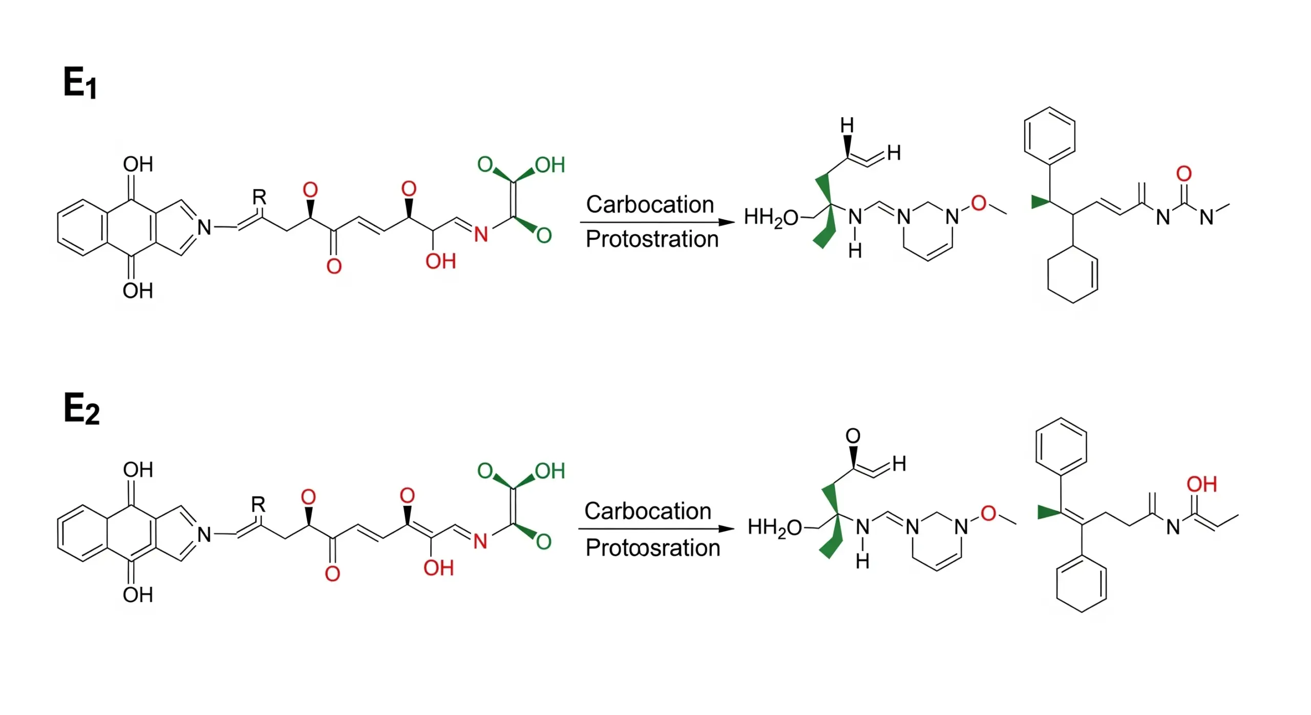 Mécanisme de l'Élimination (E1 vs E2) - Exercice corrigé